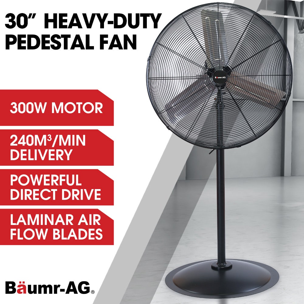 BAUMR-AG 30" 762mm 300W Industrial Pedestal Fan, Large, Commercial, He ...